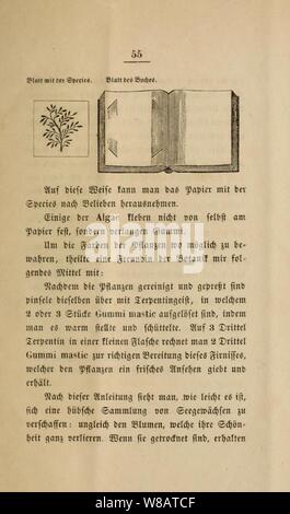 Der Begleiter in Seebäder Stock Photo - Alamy