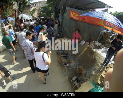 Killed dog at Dog Festival in Yulin, Guangxi province, China Stock ...