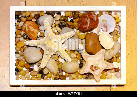 Artistic background with sea stars and shells Stock Photo - Alamy