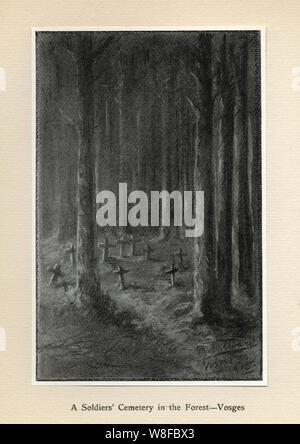 forest, army soldier, world war i, ww1, wwi, world war one Stock Photo ...