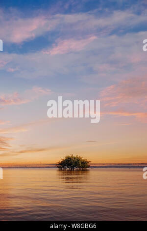 Sunrise View at Wakra Beach Stock Photo - Alamy