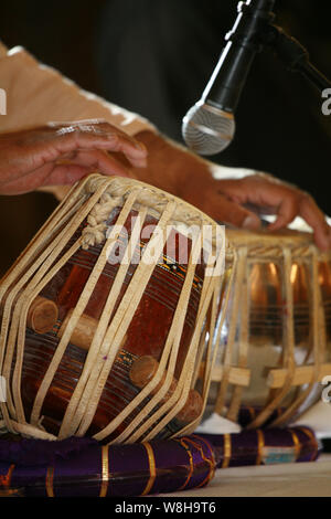 Indian musicians play percussion instruments by an elephant ahead of a ...