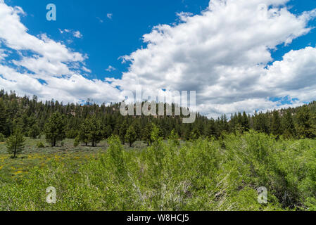 Blue sky gives way to fluffy clouds at the tops of steep mountains ...