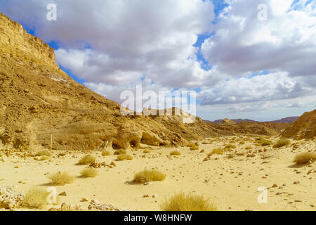 View of ramon crater desert of southern israel during hiking Stock ...