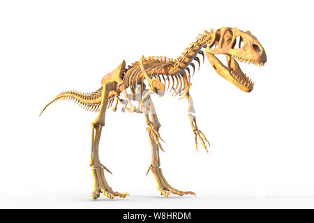 Allosaurus skeletal structure, illustration. Allosaurs lived 155-150 ...
