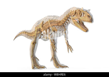 Allosaurus dinosaur skeletal structure, illustration. Allosaurs lived ...