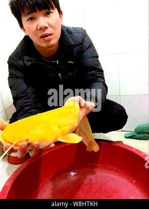 Local Chinese resident Huang Xin shows the golden catfish he caught in ...