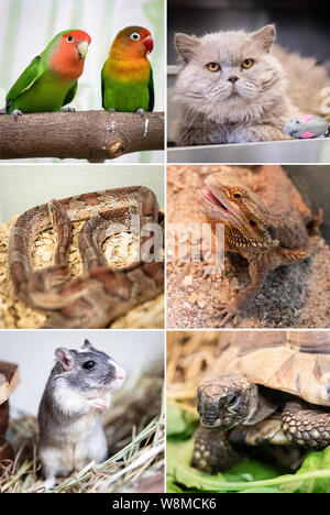 This photo combo shows, from left, Federal Reserve Board of Governors ...