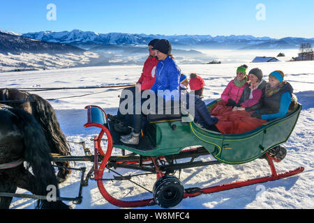 Winter trip with horsescoach in the alpine foothills near Sulzberg in ...