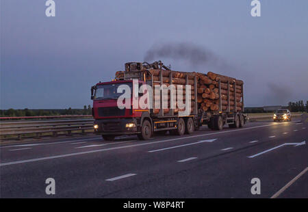 A loaded timber truck transports timber logs with an overload on the ...