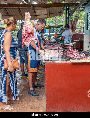 Pork meat cuts at a butcher shop Stock Photo - Alamy
