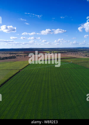Aerial of lucerne crop grown with a centre pivot irrigation system and ...