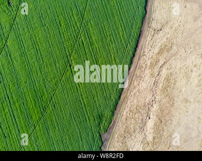 Aerial of lucerne crop grown with a centre pivot irrigation system and ...