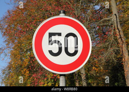 Traffic sign, speed limit of 50 km/h, illustration, 3D visualisation ...