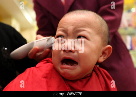 A Chinese kid has his hair cut at the barbers on Dragon Heads-raising ...