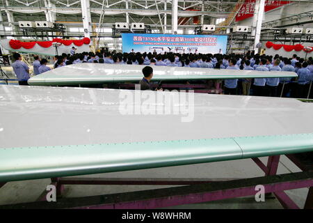 Horizontal stabilizers for the new Boeing 737 are lined up at the ...