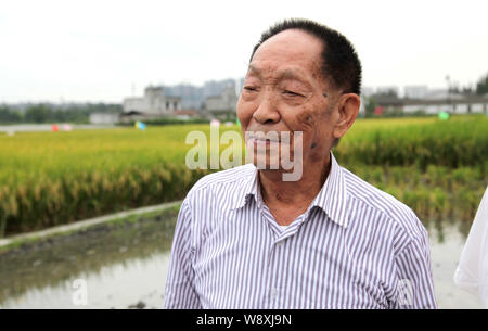 --FILE--Chinese scientist Yuan Longping, known as the Father of Hybrid ...