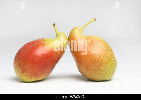 Ugly vegetables , two ripe pears of bizarre shape ,are leaning . on a ...