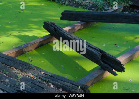 Decrepit wooden bridge across pond among trees Stock Photo - Alamy