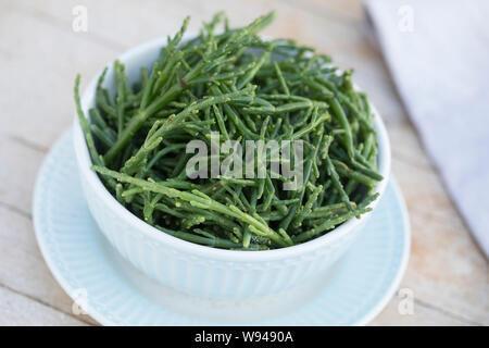 Queller-Salat, Quellersalat, Salat, Queller, Europäischer Queller ...