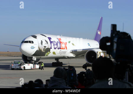 The FedEx Panda Express jet plane carrying giant pandas Huan Huan ...