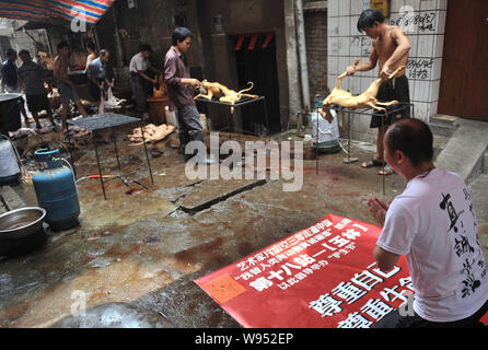 Chinese animal protection activist nicknamed Pian Shan Kong kneels down ...