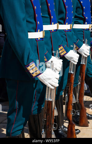 Security guard stand by in the row waiting for ceremony parade show ...