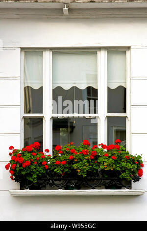 Typical British Window on a red brick wall Stock Photo - Alamy