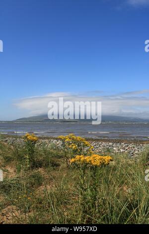 UK Roanhead. View towards Black Combe from Sandscale Haws Nature ...