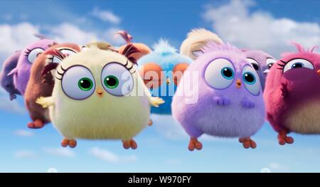 THE ANGRY BIRDS MOVIE 2, from left: Vivi (voice: Genesis Tennon), Sam ...