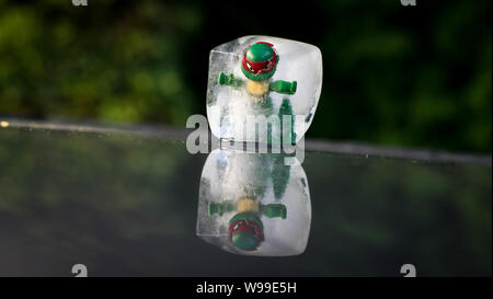 Ninja Turtle trapped in Ice Cube, melting in the sun Stock Photo - Alamy