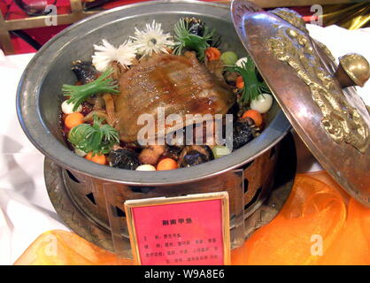 Chinese soft-shelled turtle Stock Photo - Alamy