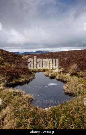 Backwater Reservoir, Angus, Scotland Stock Photo - Alamy