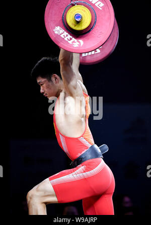 Taiyuan. 13th Aug, 2019. Liu Huanhua of Tianjin Municipality Delegation ...
