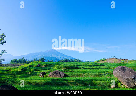 Eruption of Mount Arjuna/Arjuno-Welirang with rice paddies epic view ...