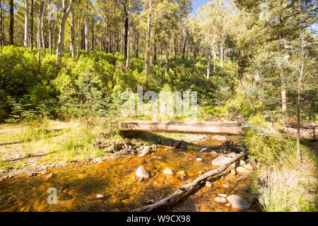 Delatite River Trail at Mt Buller Stock Photo - Alamy