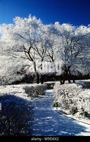 Snowscape of Lu Mountain (Mount Lushan) in east Chinas Jiangxi province ...