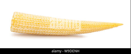 baby corn, young corn, mini corn isolated on white background Stock ...