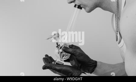 The person hold in his hand bong with fresh medical marijuana buds ...