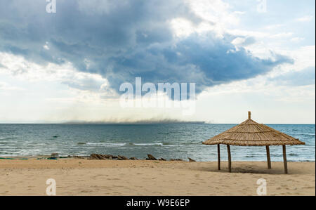 Spiral swarm of lake flies (Chaoborus edulis) in Lake Malawi Stock ...