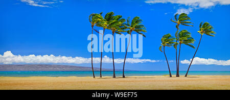 Row of palm trees are lined up in front of tourist resort. The houses ...