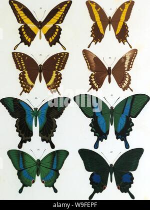 Betrachtungen uber die Farbenpracht der Insekten, Leipzig, Wilhelm ...