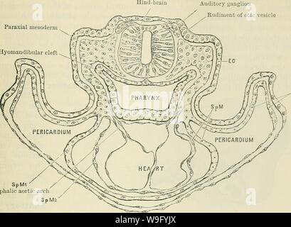 . Cunningham's Text-book of anatomy. Anatomy. Auditory tube Membrana ...