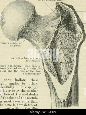 . Cunningham's Text-book of anatomy. Anatomy. 306 THE ARTICULATIONS OR ...