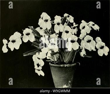 A cultural table of orchidaceous plants (1946) (20626441549 Stock Photo ...