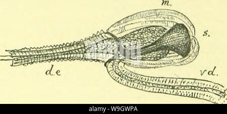Image from page 665 of '[London, edited by C. K.]' Stock Photo - Alamy