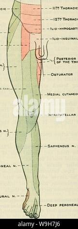 . Cunningham's Text-book of anatomy. Anatomy. 758 THE NERVOUS SYSTEM ...