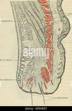 . Cunningham's Text-book of anatomy. Anatomy. 10 HUMAN EMBEYOLOGY ...