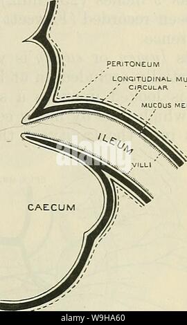 . Cunningham's Text-book of anatomy. Anatomy. Aperture of pupil Long ...