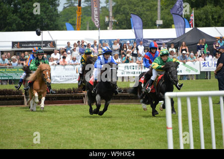 South of England Show, Ardingly 209 Stock Photo - Alamy